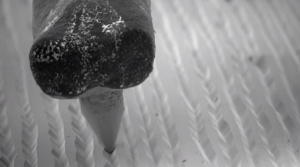 Voilà à quoi ressemble un vinyle filmé au microscope | Atlantico.fr